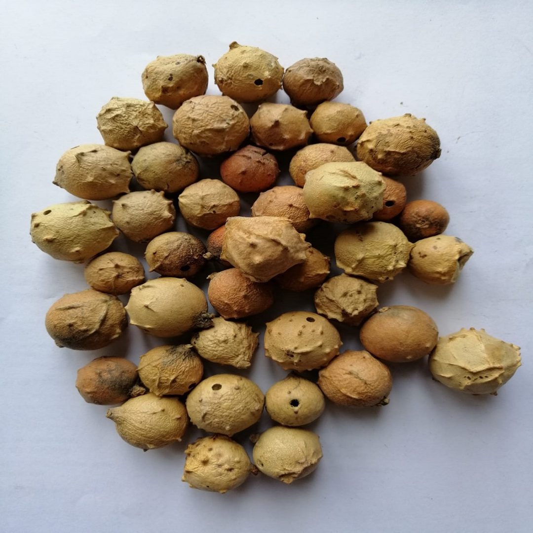 Gallnut – AR-TU KİMYA AS